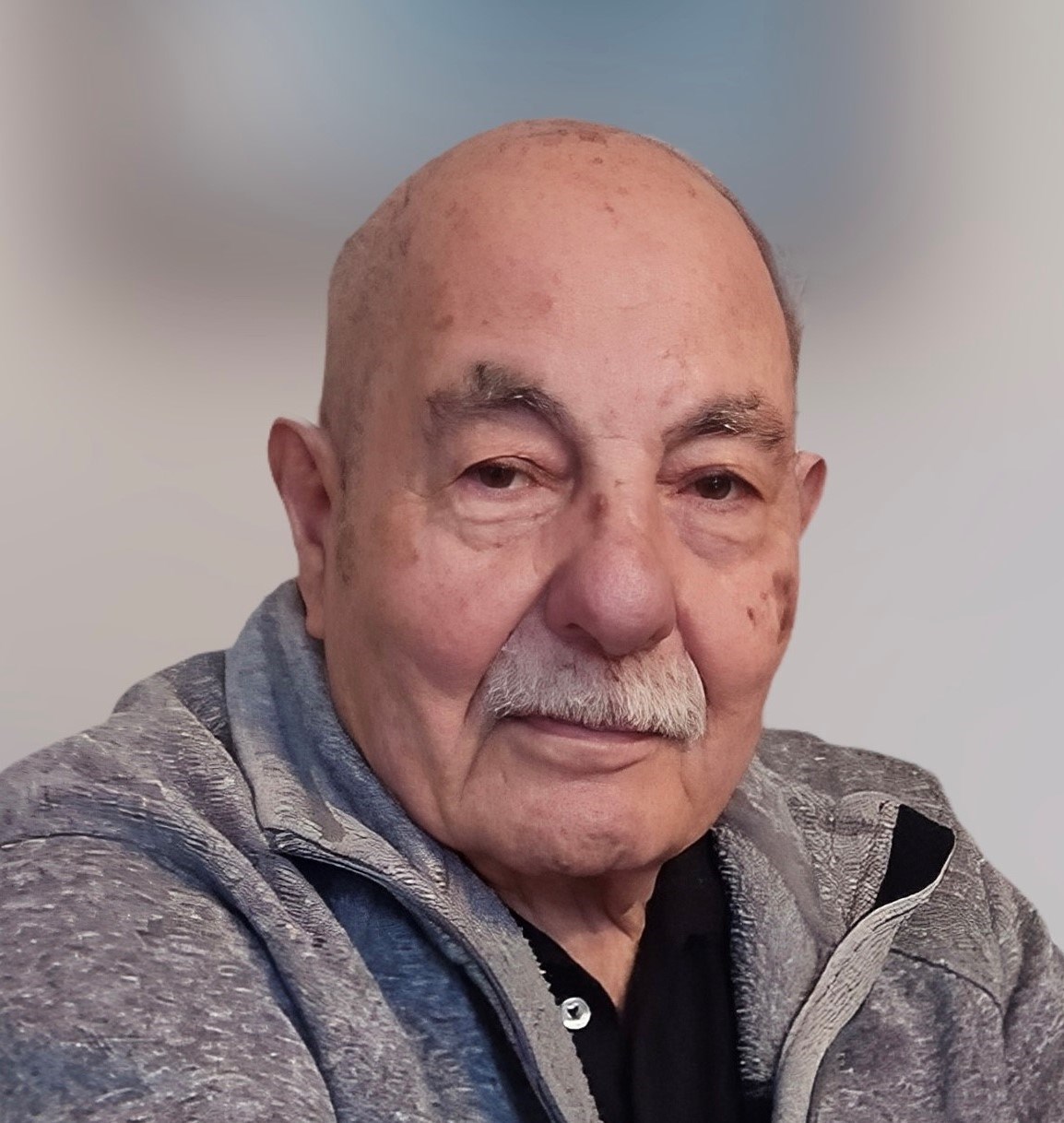 Mario Buffone Obituary - Cambridge, ON