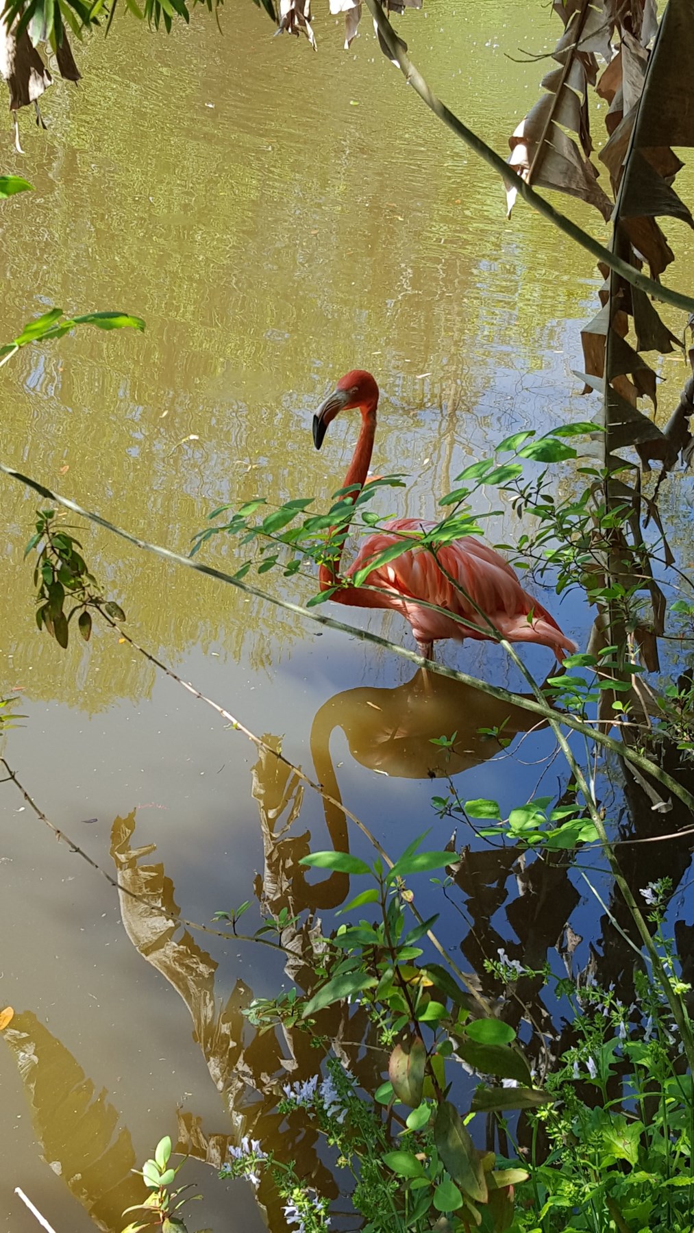 James Barr Obituary - St Pete Beach, FL