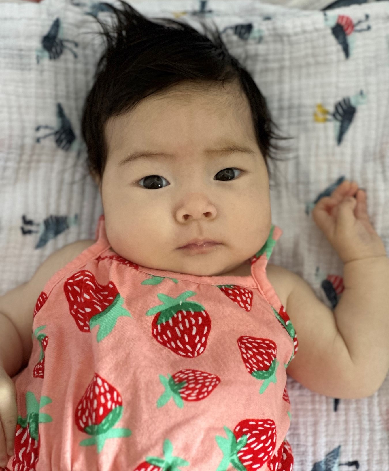 Amelia Jamie Cheung Obituary - Calgary, AB