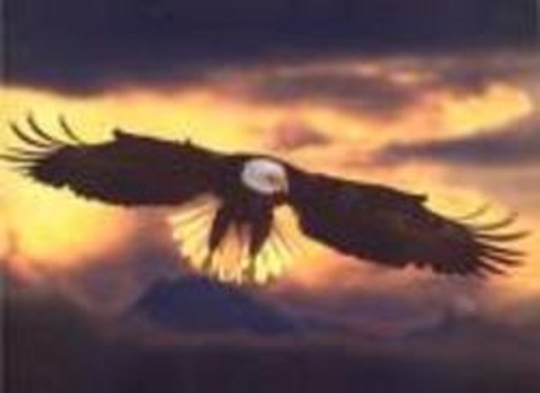 David Smack Obituary - Levittown, PA