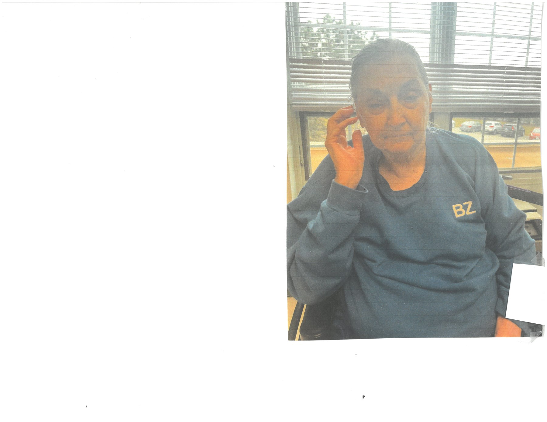 Beverly Zumerling Obituary - Chicago, IL