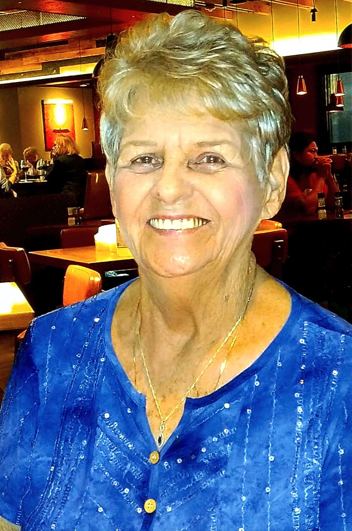 Barbara Louise Nelson Obituary - Chicago, IL