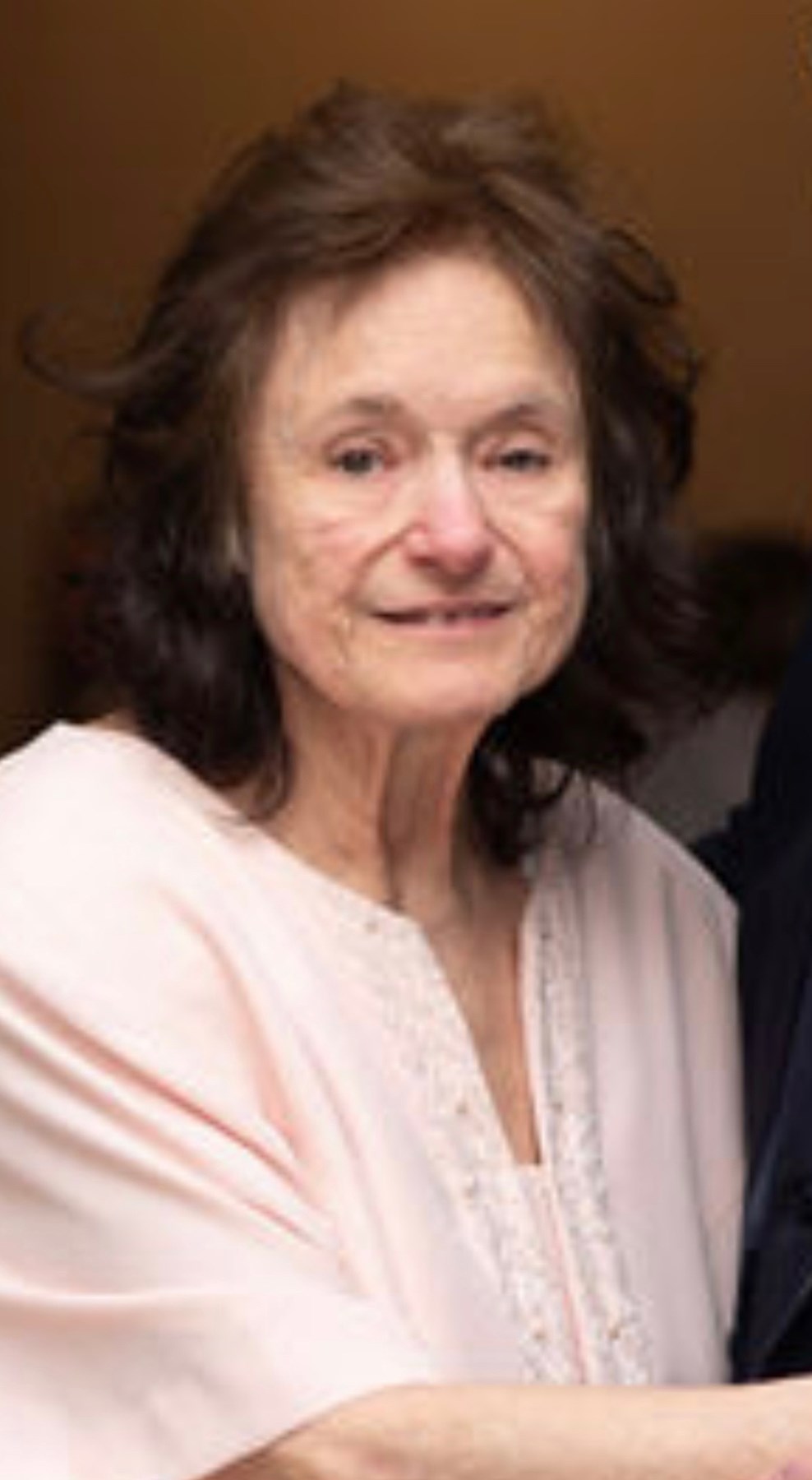 Suzanne Frissora Obituary - Columbus, OH