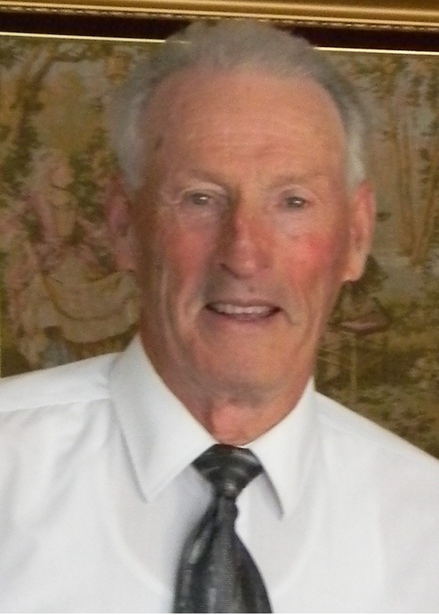 George Levesque Obituary - Balmoral, NB