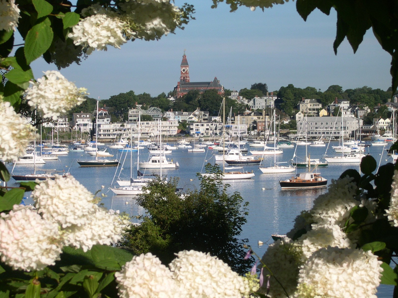 Philip McCarthy Obituary - Marblehead, MA