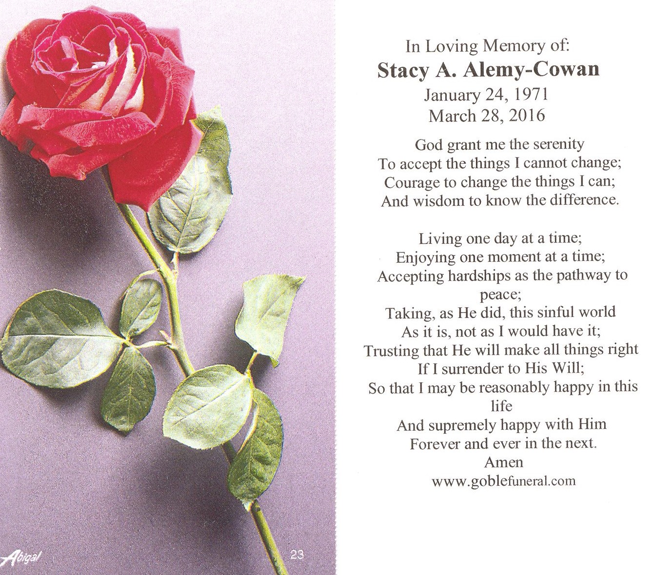 Stacy Ann Alemy-Cowan Obituary - Sparta, NJ