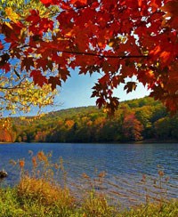 Keith Pritchett Obituary - Fort Lauderdale, FL