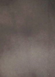 William Dotzauer Obituary Worthington Oh