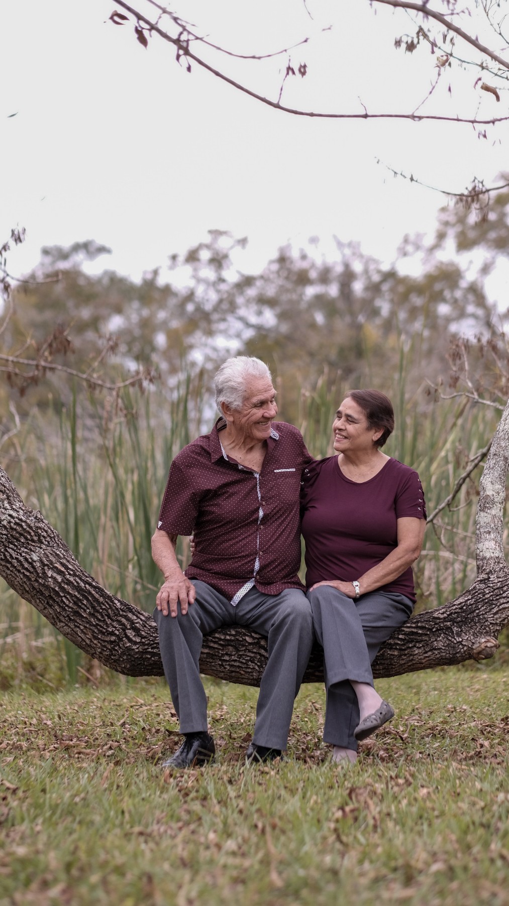 Francisco Castro Obituary - Houston, TX