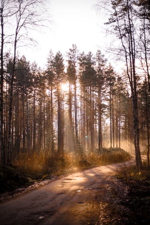 Raymond J. Foran Obituary - Hicksville, NY