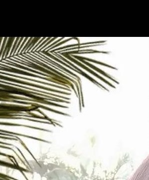 Brenda Santos Obituary - Corpus Christi, TX Brenda Santos Obituary - Corpus Christi, TX