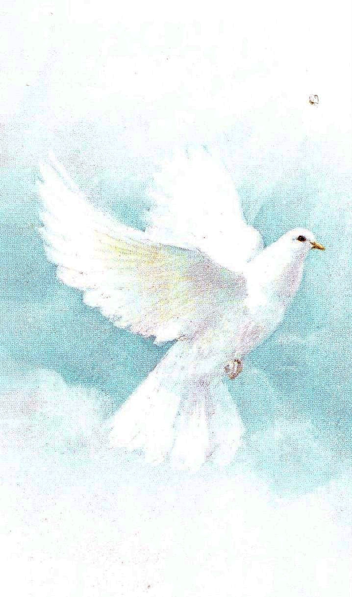 John Scalisi Obituary - Sarasota, FL