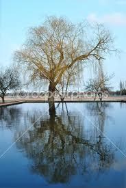 Robert P. Beck Obituary - Reading, PA