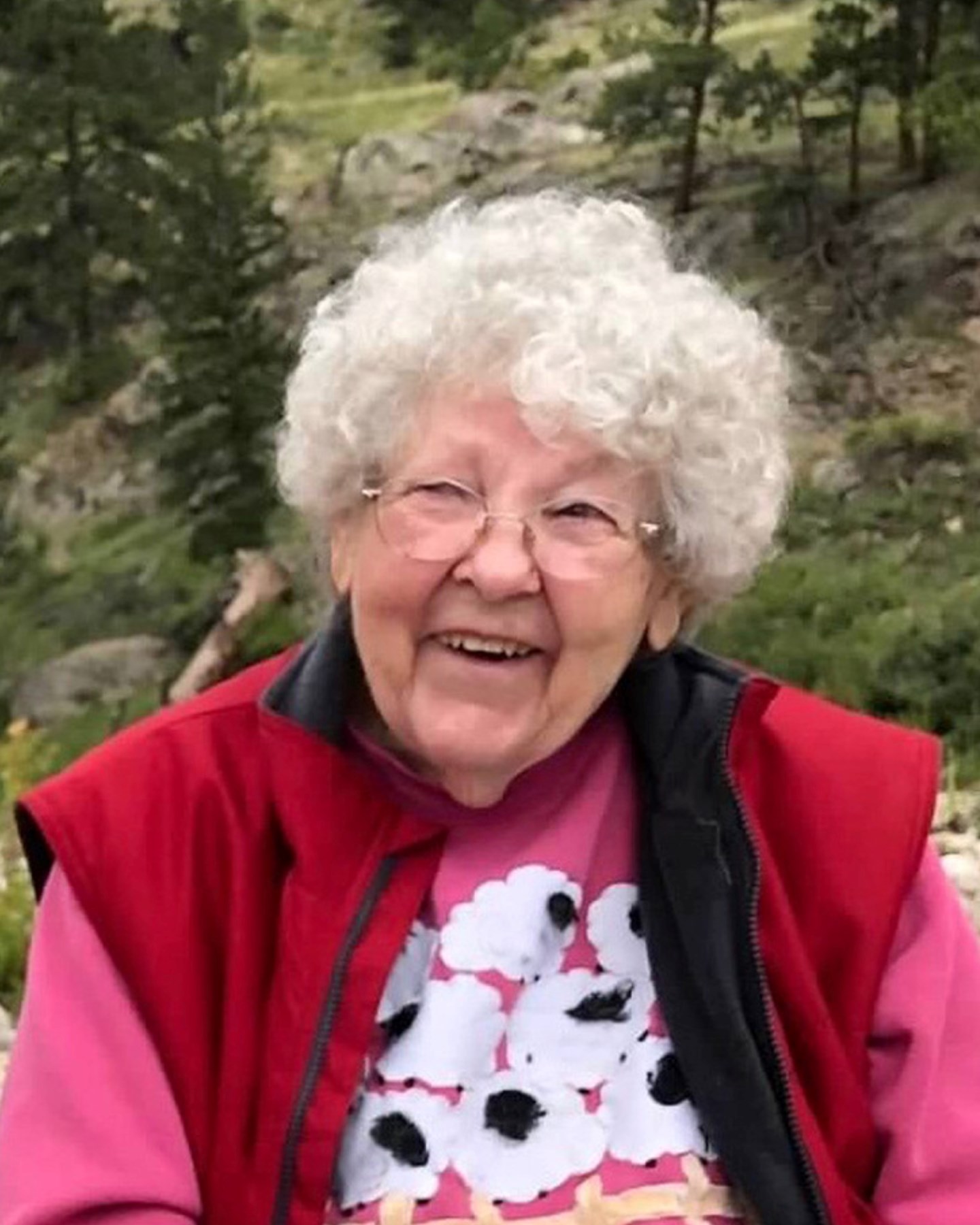 Alice Stephan Obituary - Grand Prairie, TX