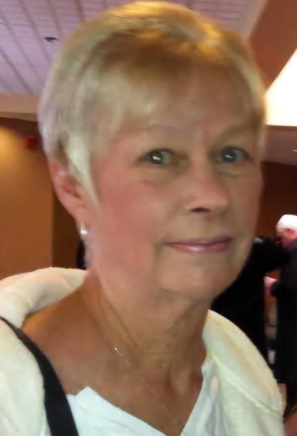 Rae Ann Holmquist Obituary - Golden Valley, MN