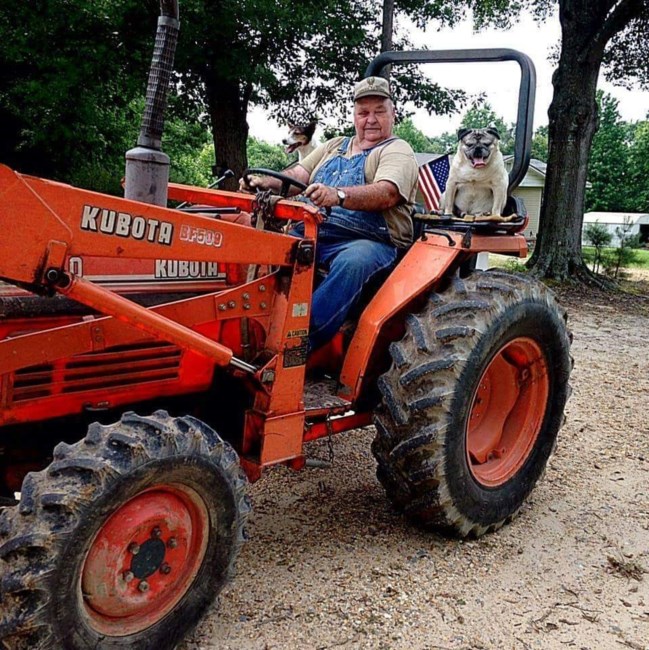 Roy Simmons Obituary - ALEXANDER, AR