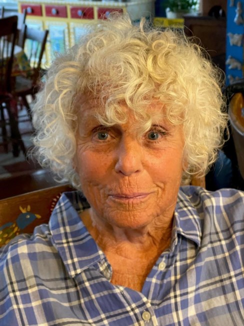 Judy Allen Obituary - St. Louis, MO