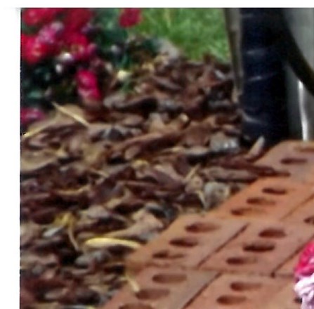 Sara Martin Obituary - Tallahassee, FL Sara Martin Obituary - Tallahassee, FL