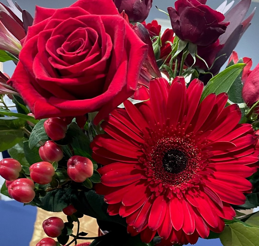 Celeste Pacetti Ford Obituary - Marietta, GA