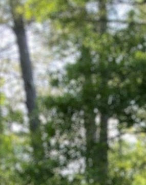 Steven Brian Thompson Obituary - Macon, GA Steven Brian Thompson Obituary - Macon, GA
