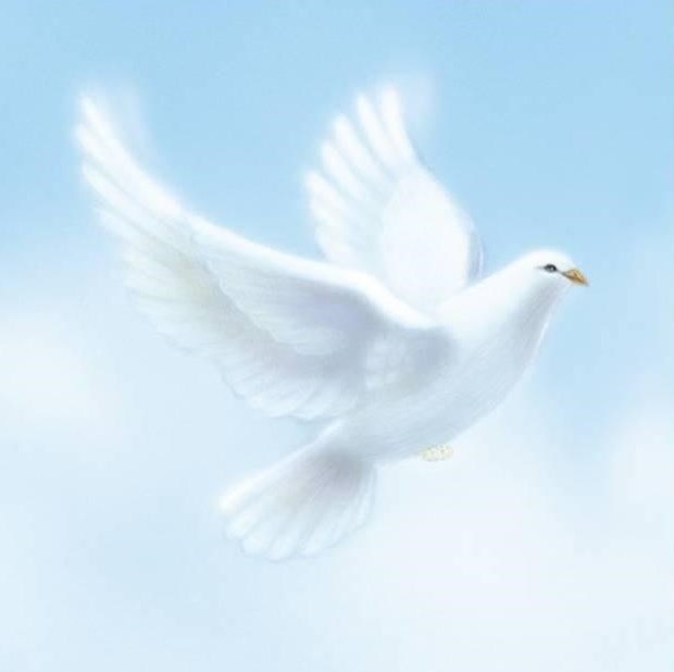 Larry Deese Obituary - Hickory, NC