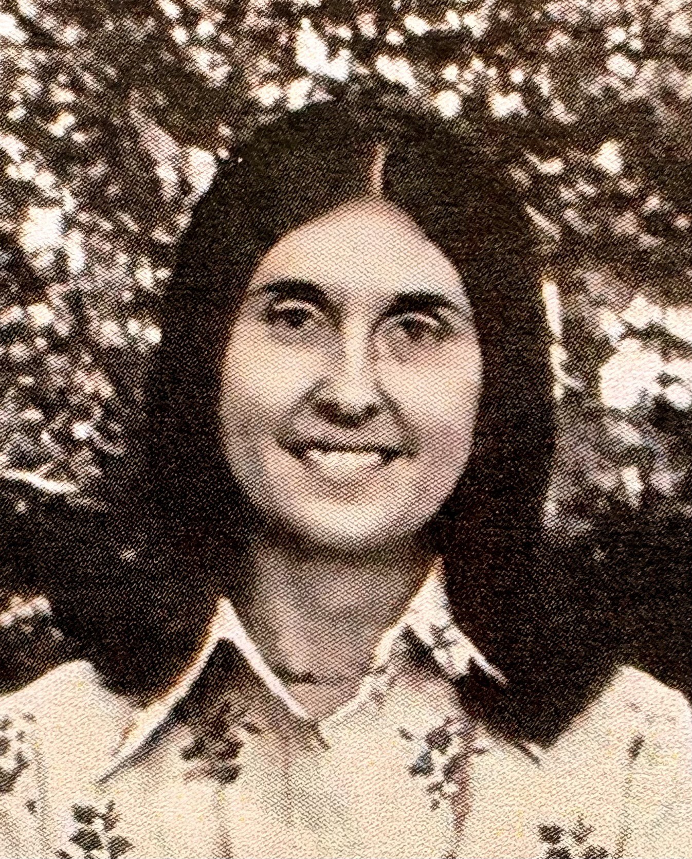 Amalia Bornstein Obituary - Brookline, MA