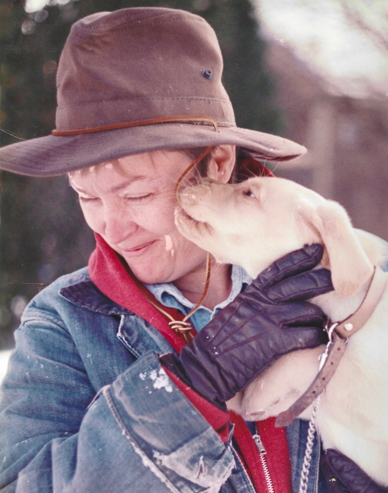 Deborah Hall Obituary - Golden Valley, MN