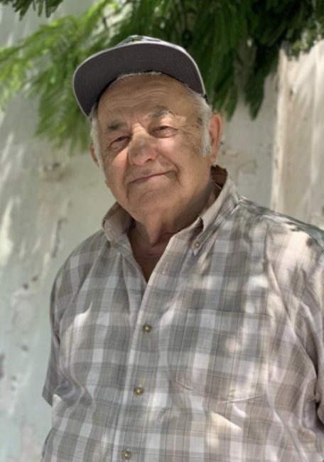 Constantinos Mitalas Obituary - Seattle, WA
