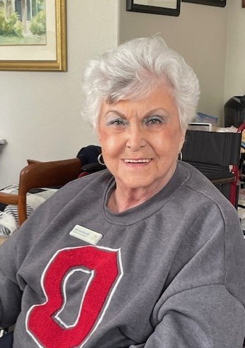 Ann Isenbergh Obituary - Tampa, FL
