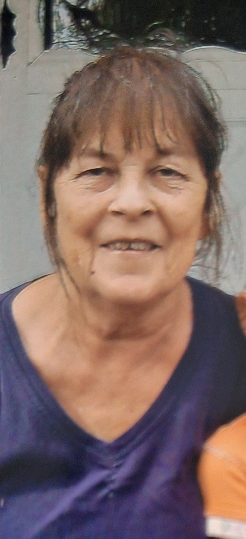 Sherry Webb Boyd – Quad Cities Daily