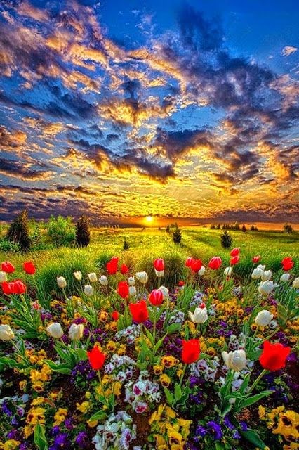 William Roth Obituary - Salem, OR