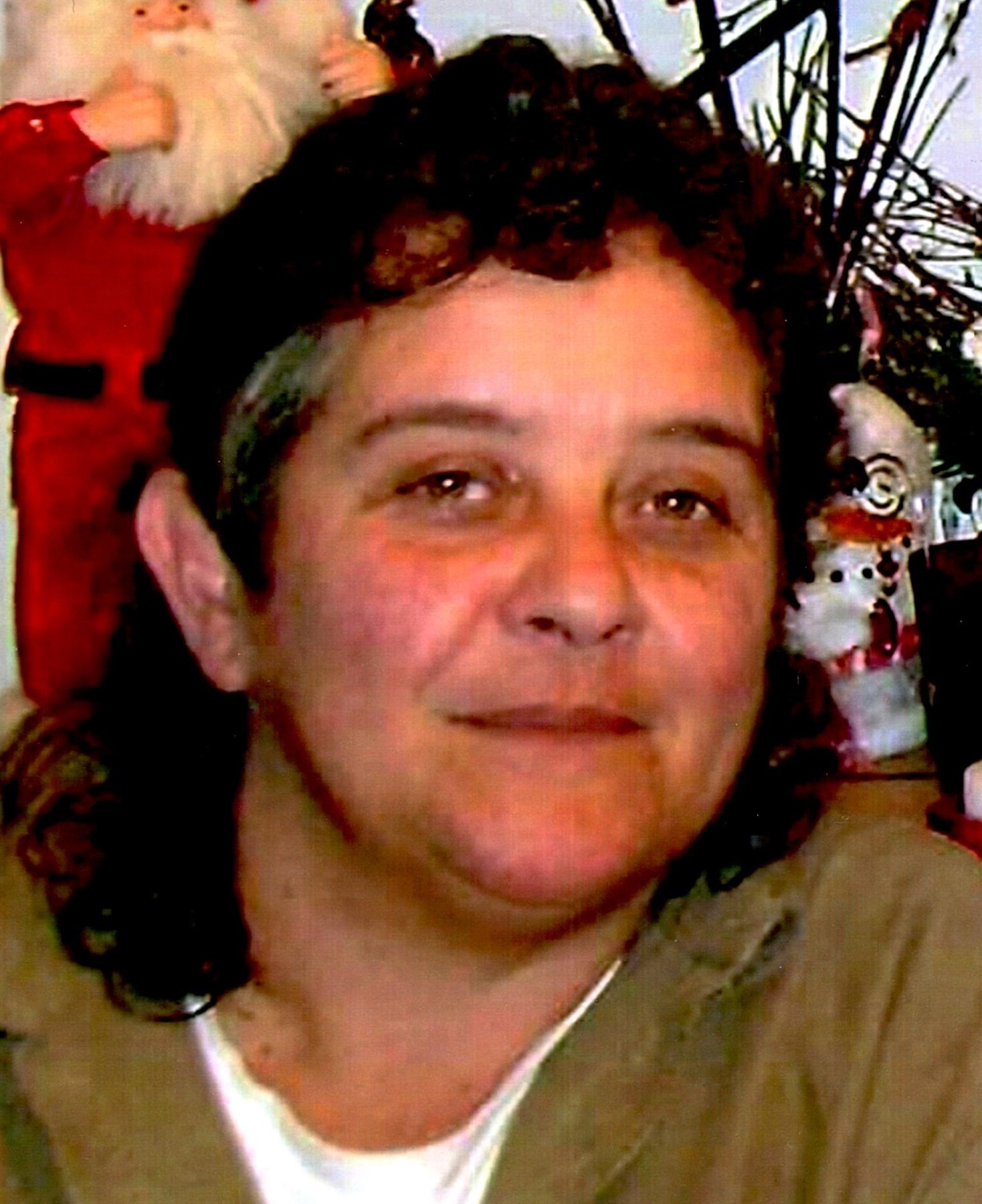 Lisa Ann Smith Obituary - Knoxville, TN