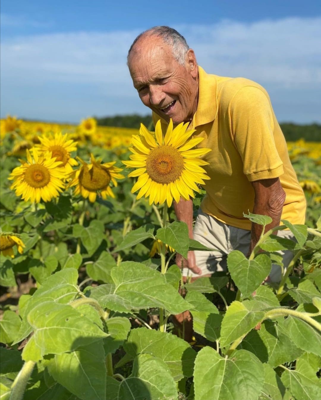 Mario Campagnolo Obituary - Guelph, ON