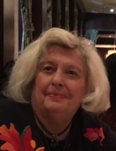 Suzanne Ohlson Obituary - Arlington Heights, IL