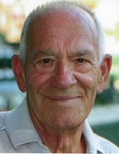 Robert Scheidt Obituary - Springfield, IL