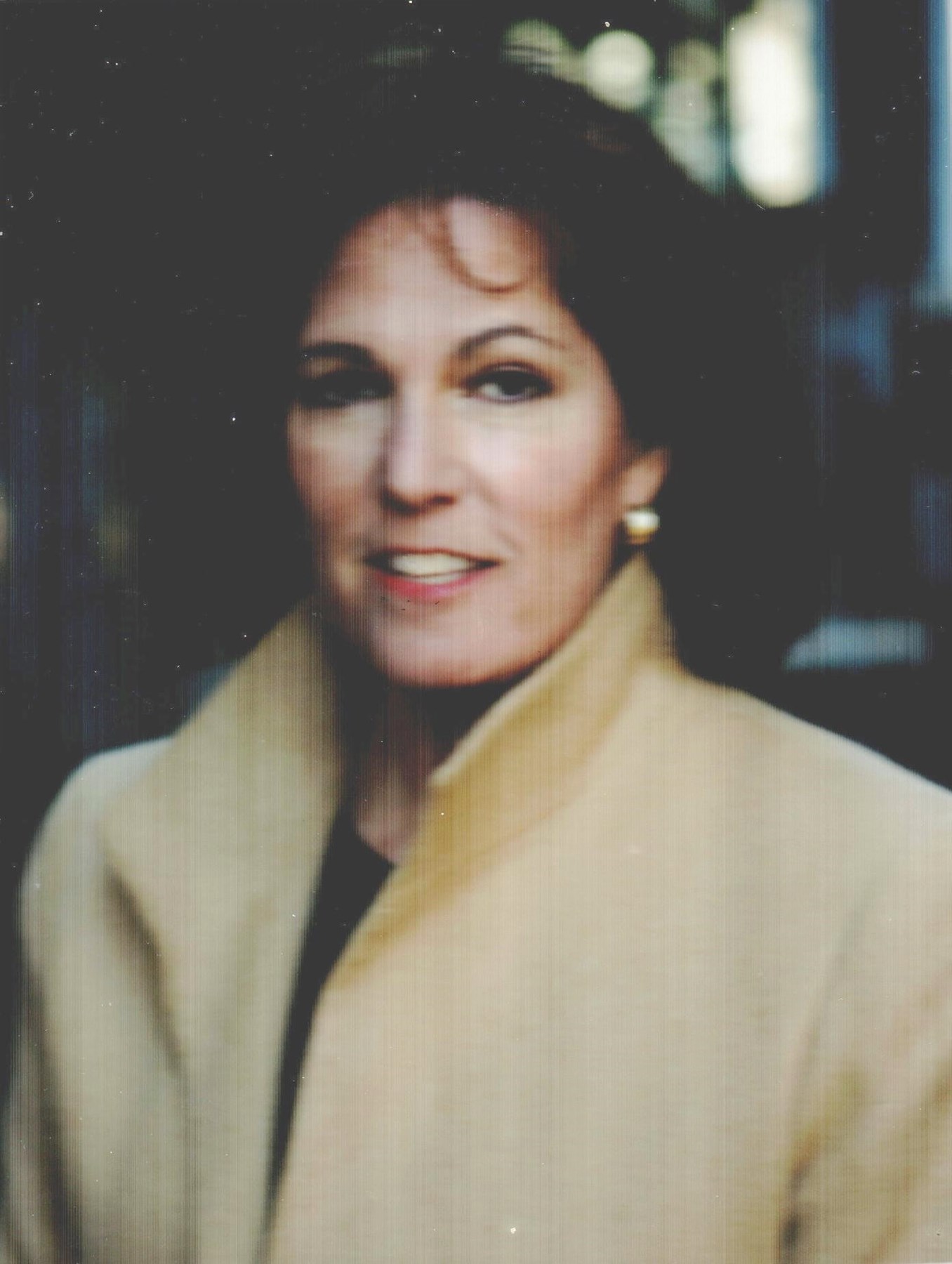 Laurie Ann Stern Obituary - St. Louis, MO