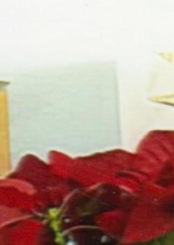 Elodia Cantu Tamayo Obituary - Corpus Christi, TX Elodia Cantu Tamayo Obituary - Corpus Christi, TX