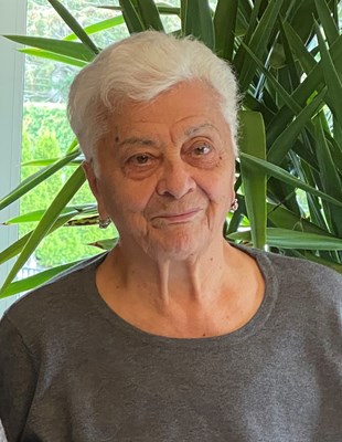 Find Obituaries & Funeral Services | Dignity Memorial