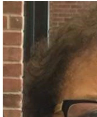 Barbara Tai Obituary - Brentwood, MD Barbara Tai Obituary - Brentwood, MD