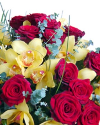 Betty McCurdy Obituary - Wailuku, HI