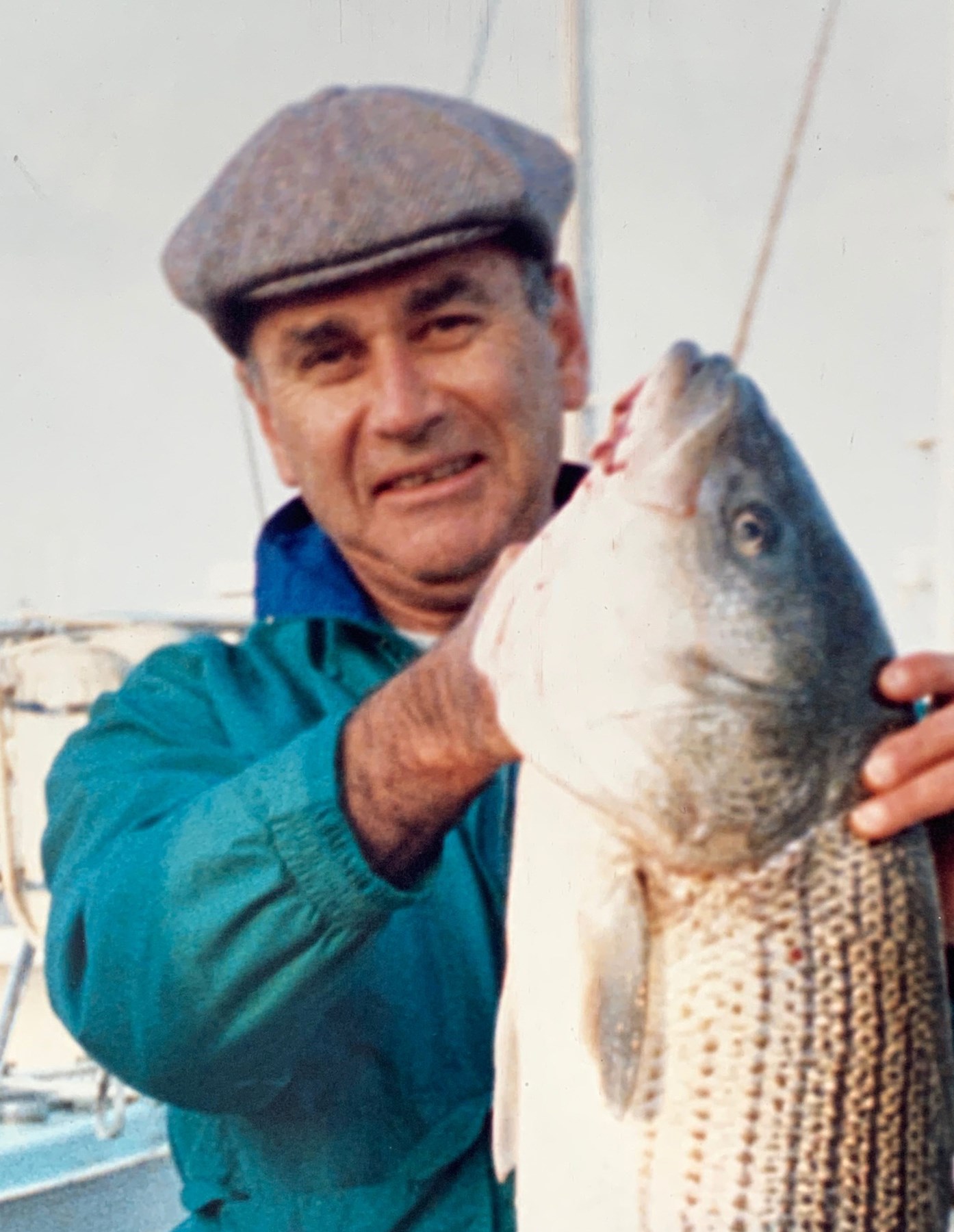 Donald Beck Obituary - Great Neck, NY