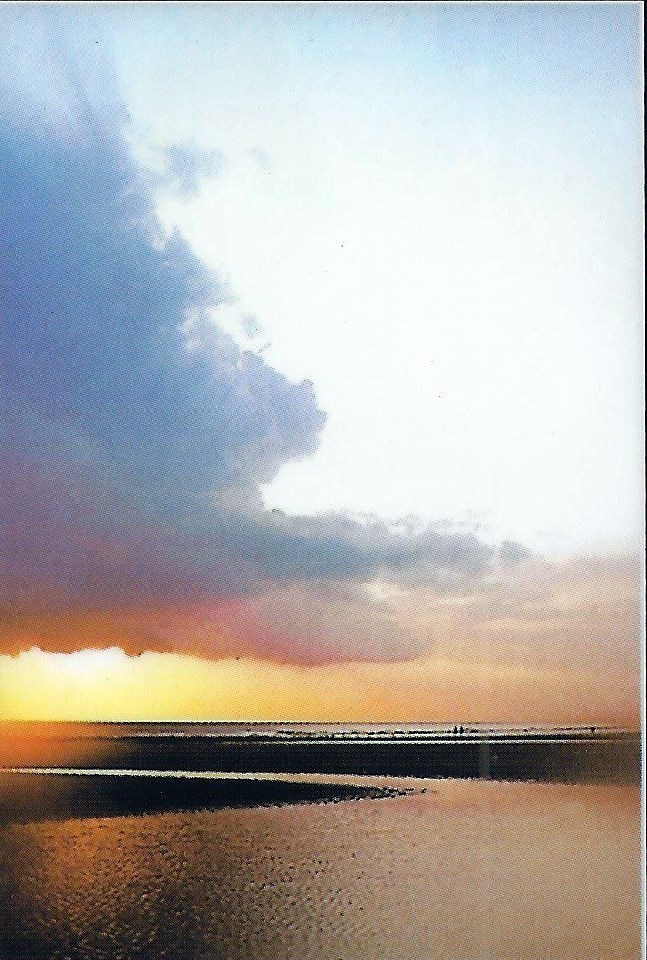 Alexander Villari Obituary - Centereach, NY