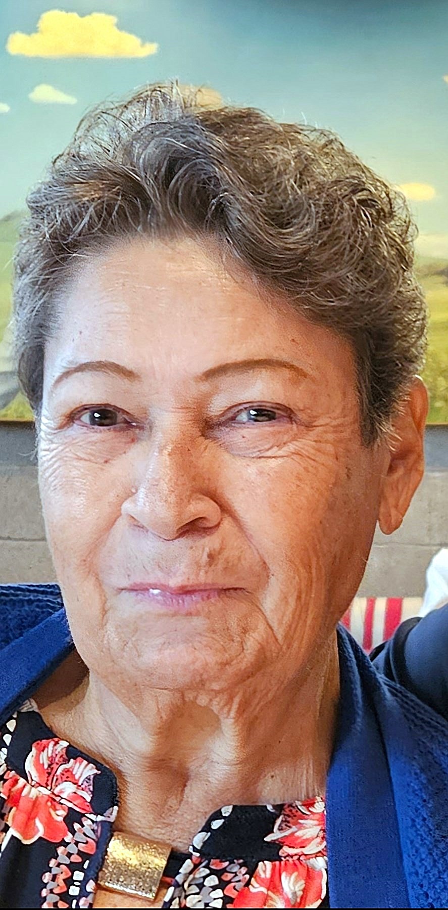 Paula Silva Obituary - Glendale, AZ