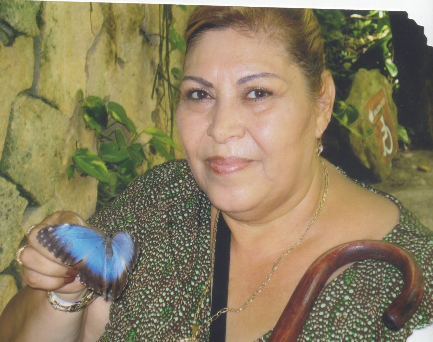 Maria Cleotilde Robles Obituary - Los Angeles, CA