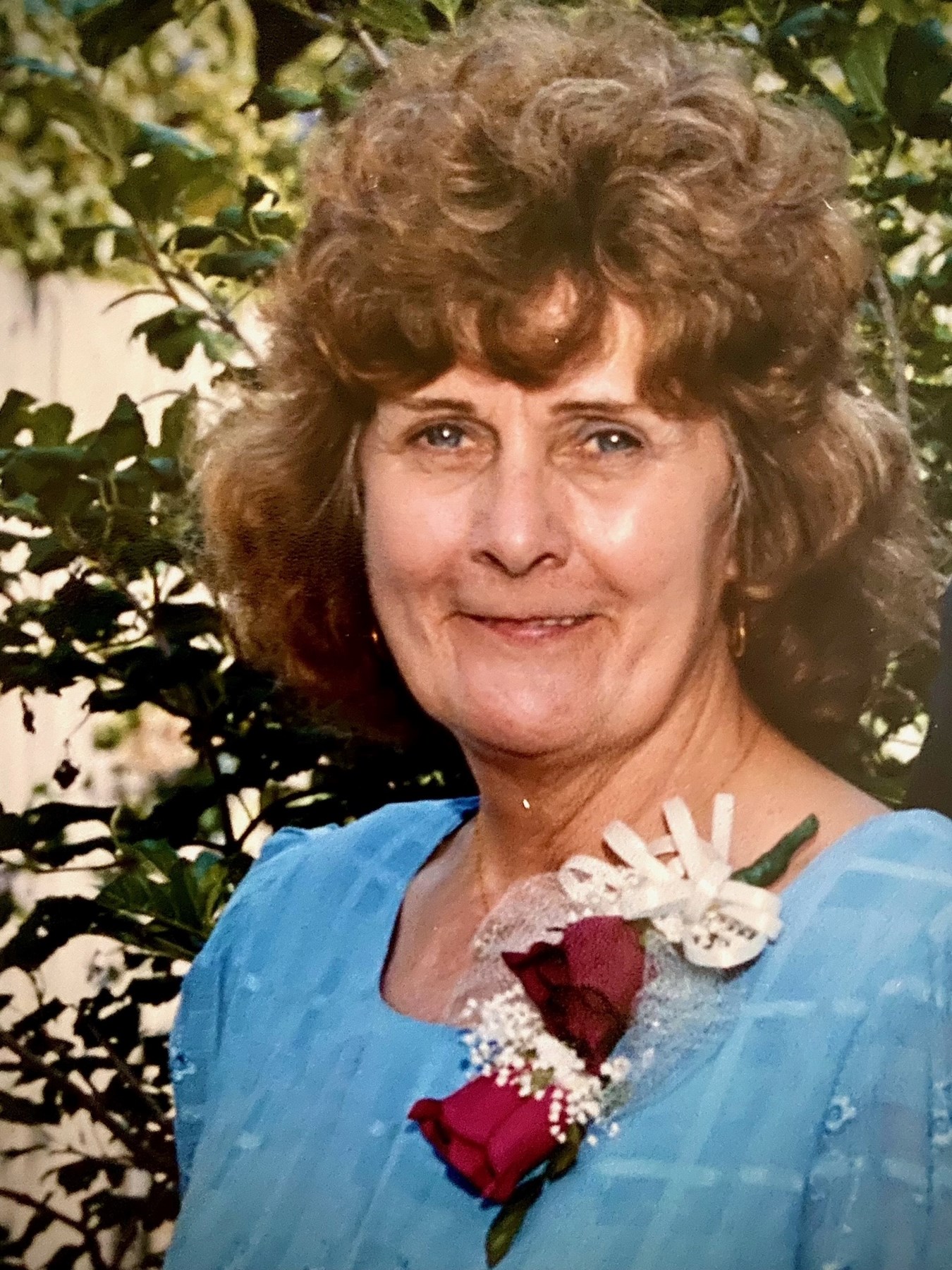 Dorothy Collins Obituary - Franklin, OH
