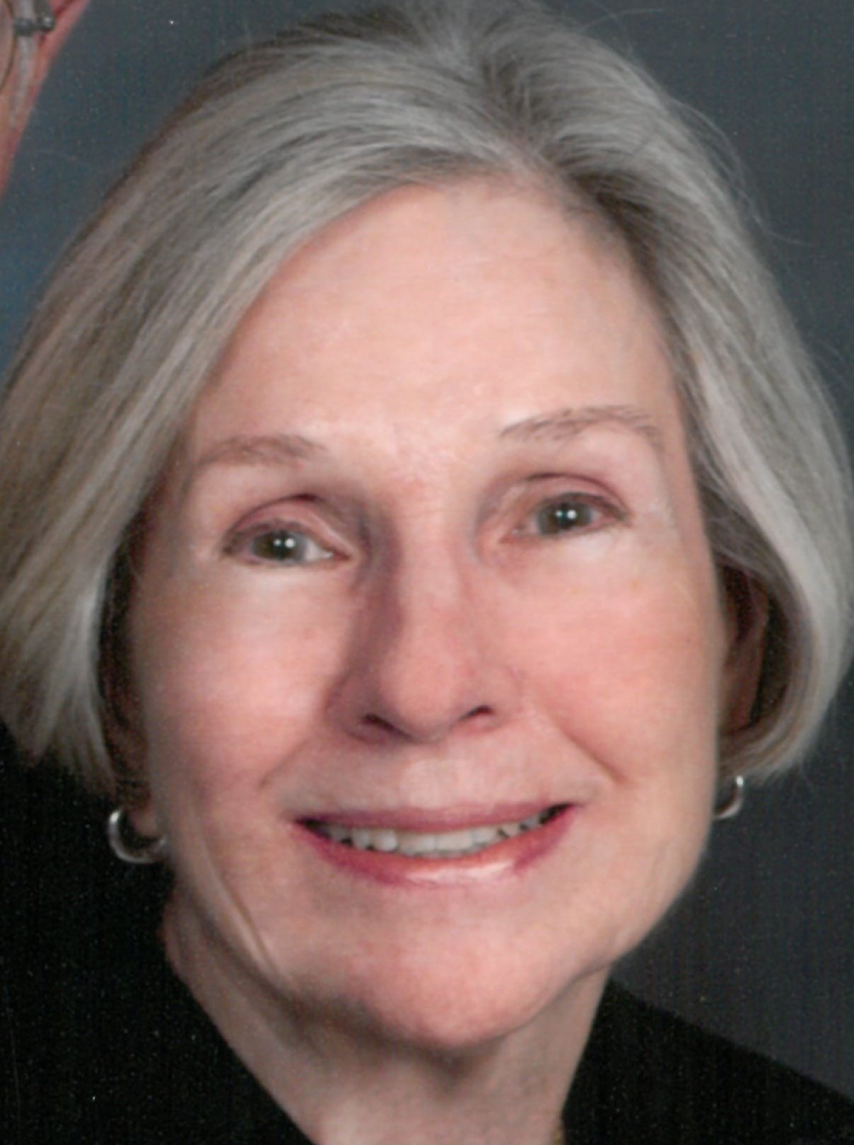 Suzanne Isler Obituary - Holland, MI