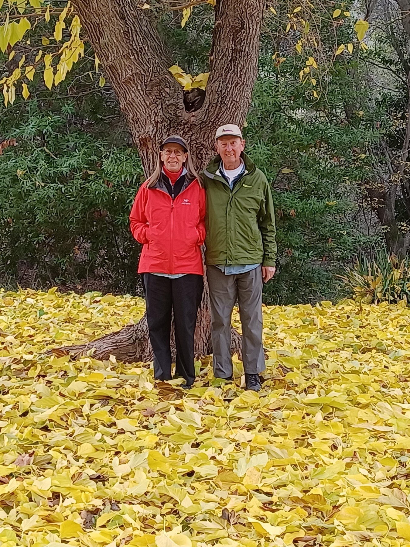 David Doyal Obituary - Walnut Creek, CA