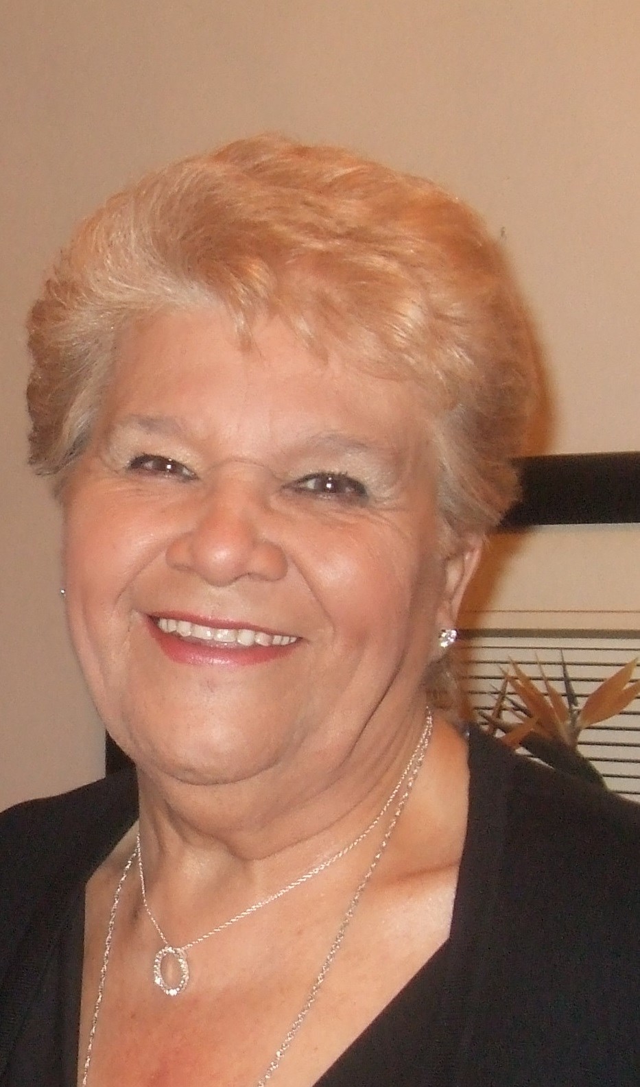 Diane Rochette Obituary - Montreal, QC