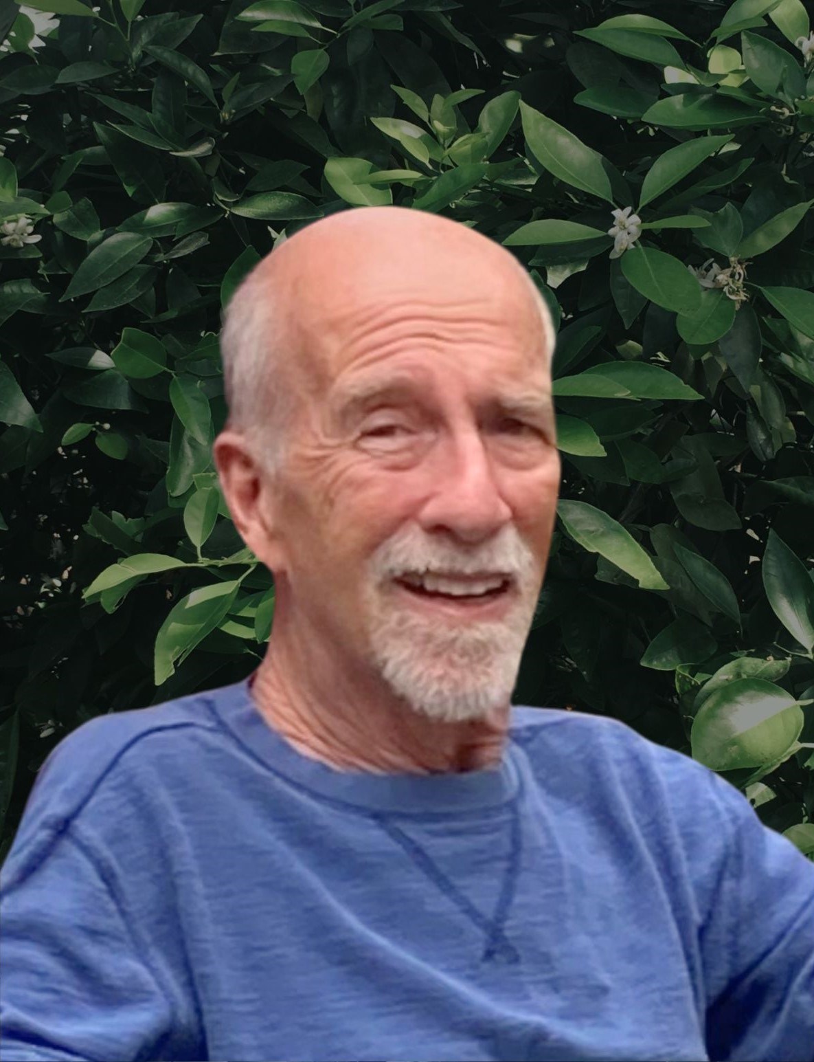 Robert Borger Obituary - Tallahassee, FL