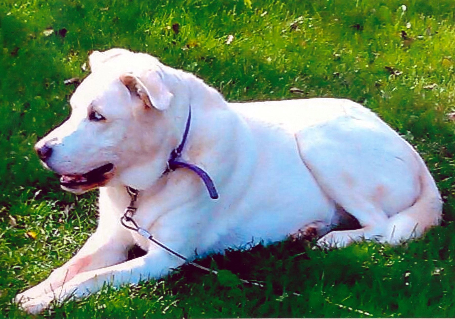 Marie Macleod's Instagram, Twitter & Facebook on IDCrawl